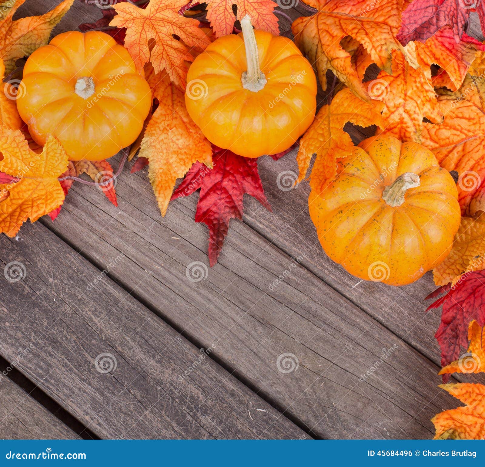 Autumn Pumpkin and Leaf Border Stock Photo - Image of season, holiday ...