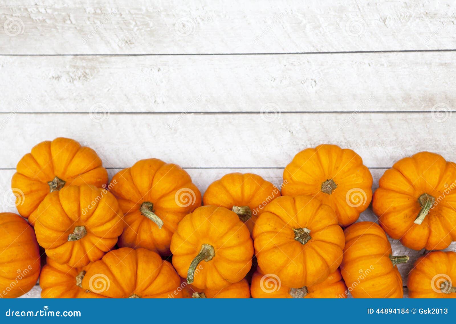 Autumn Pumpkin Thanksgiving Background Stock Photo - Image of colorful ...