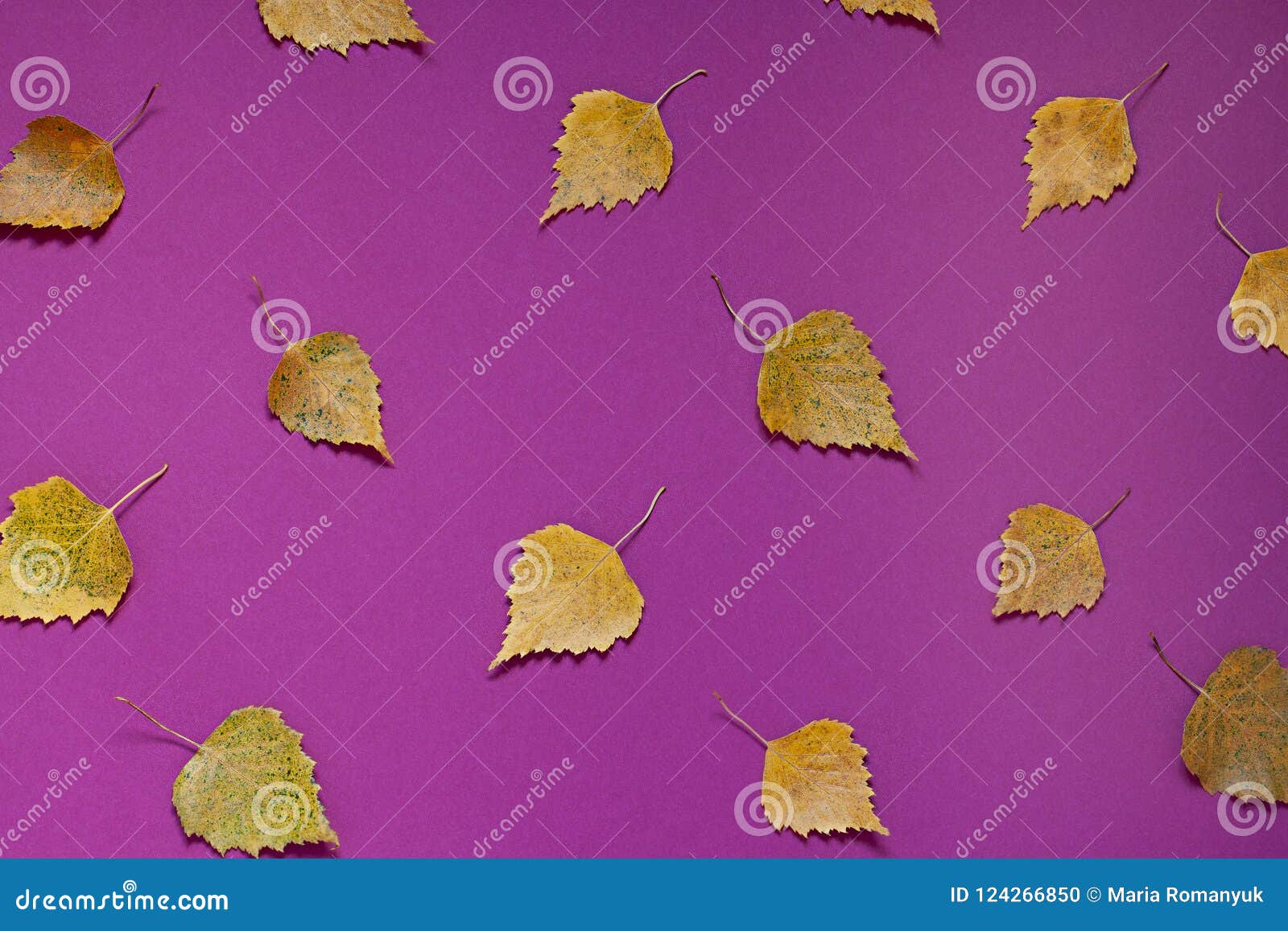 Autumn Purple Background with Yellow Fall Leaves Stock Photo - Image of ...