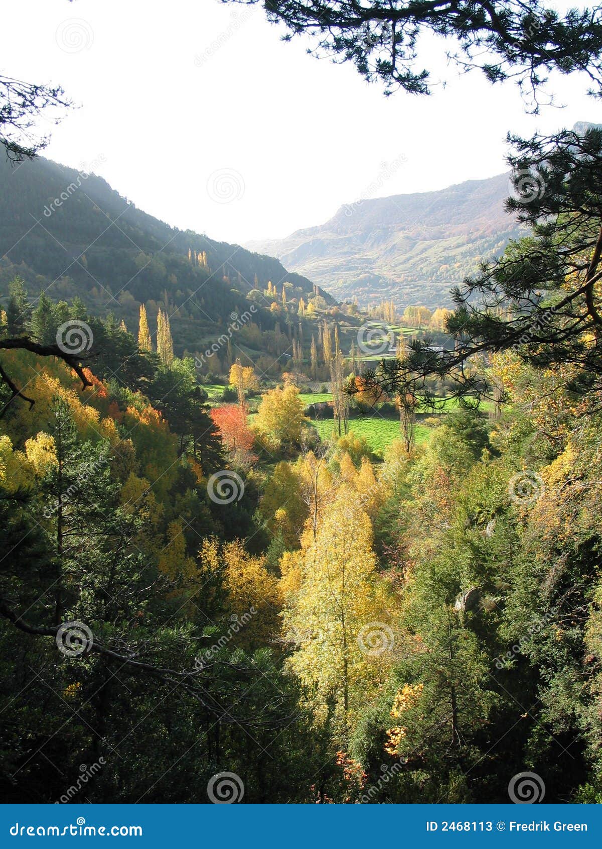 Autumn in the pyrenees stock image. Image of mountains - 2468113