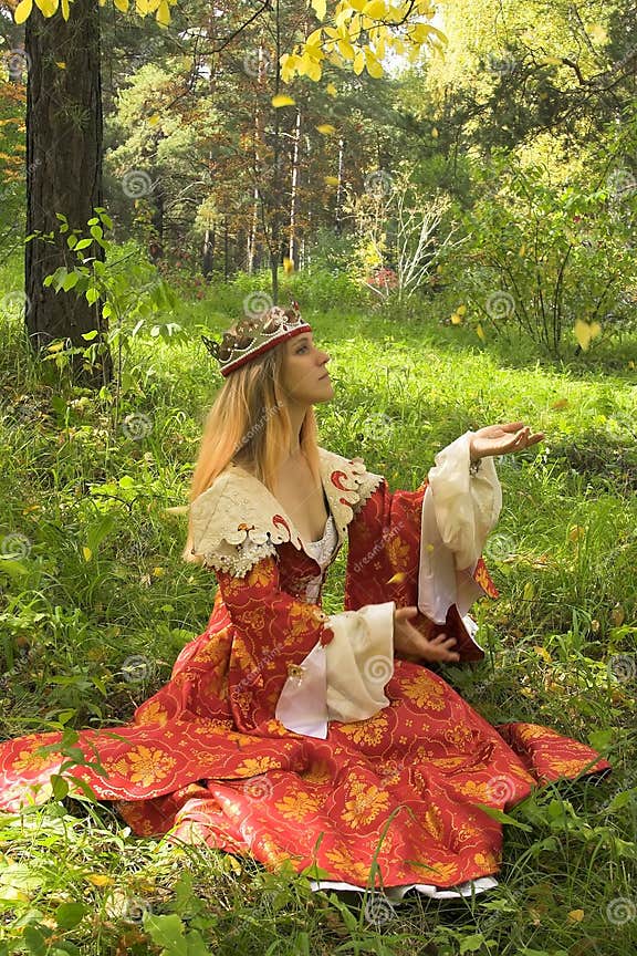 Autumn queen stock image. Image of girl, crown, romance - 2233033