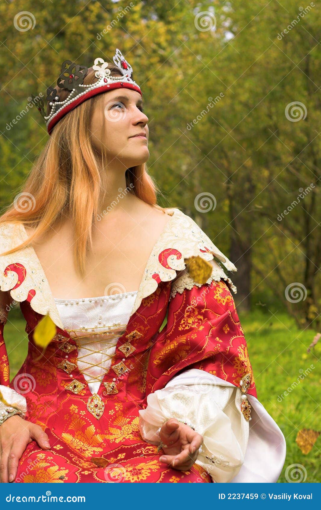 Autumn queen stock image. Image of park, autumn, pass - 2237459