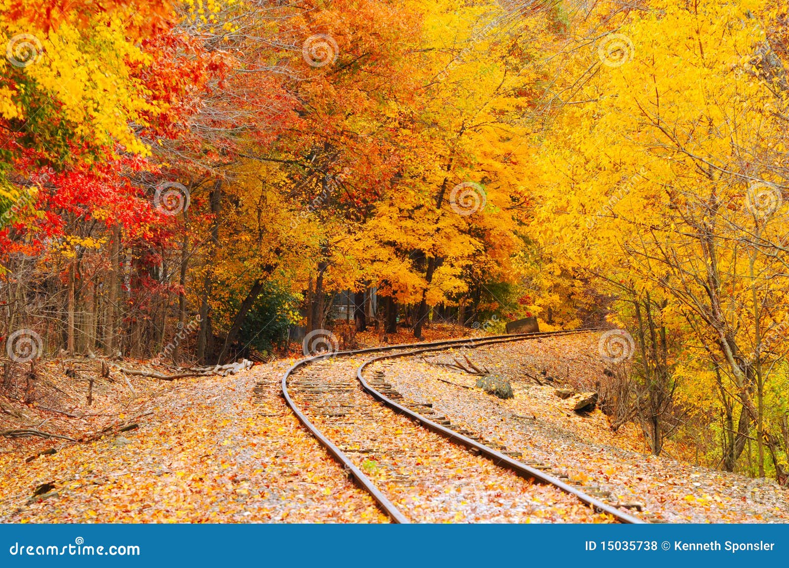 Autumn railroad stock photo. Image of track, color, country - 15035738