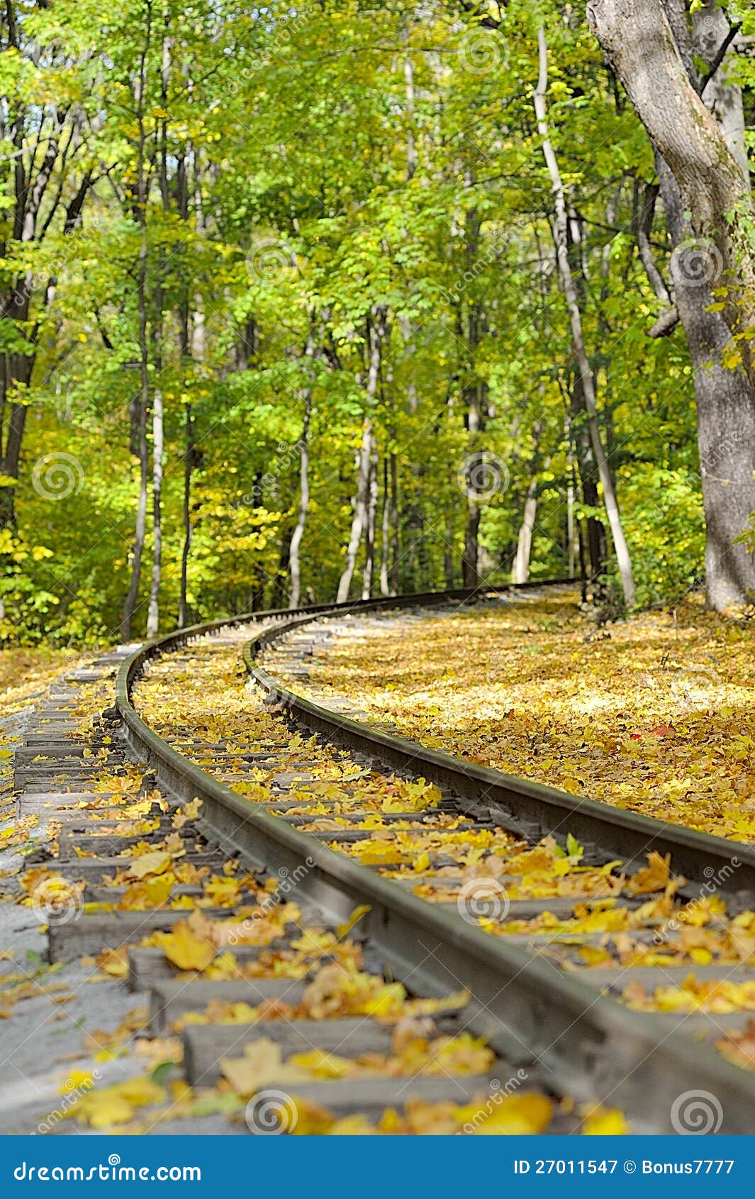 Autumn railroad stock image. Image of green, forest, bright - 27011547
