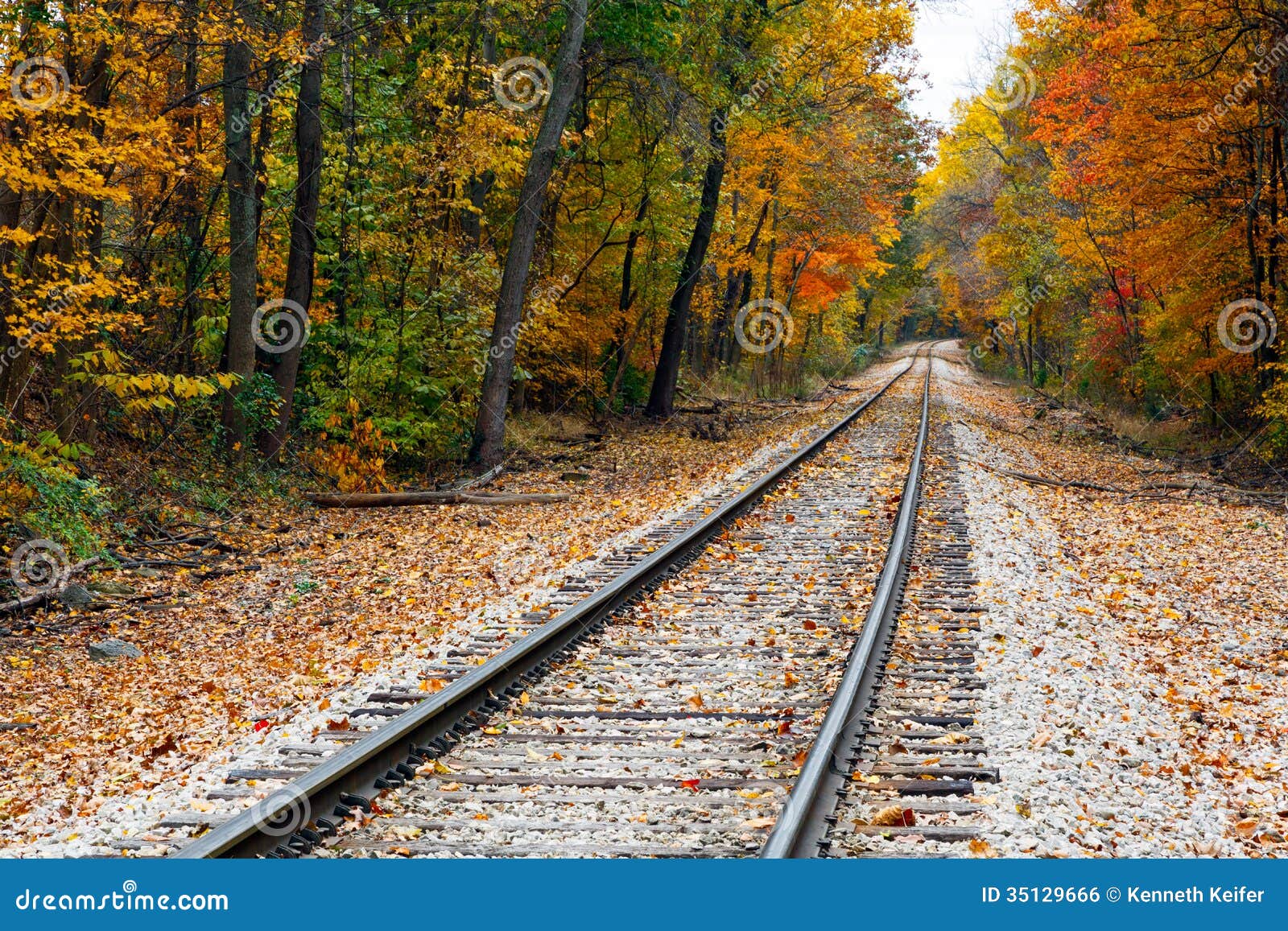 Autumn Railroad Tracks stock foto. Image of midwesten - 35129666