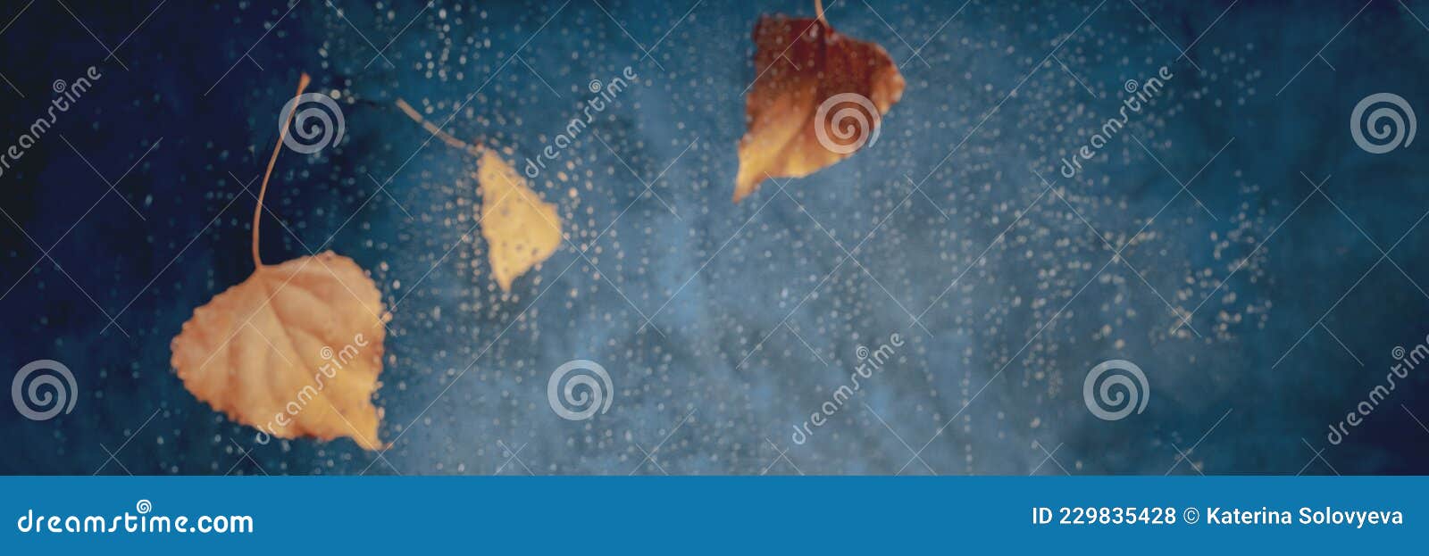 Autumn Rain Panorama, Abstract Background with Raindrops Stock Photo ...