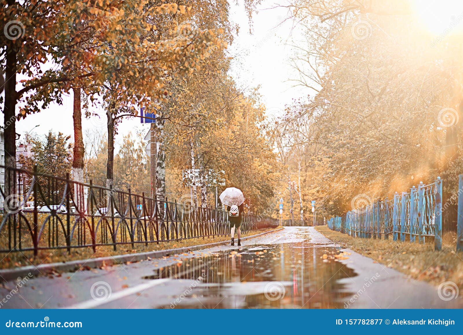 Autumn rain in the park stock image. Image of break - 157782877