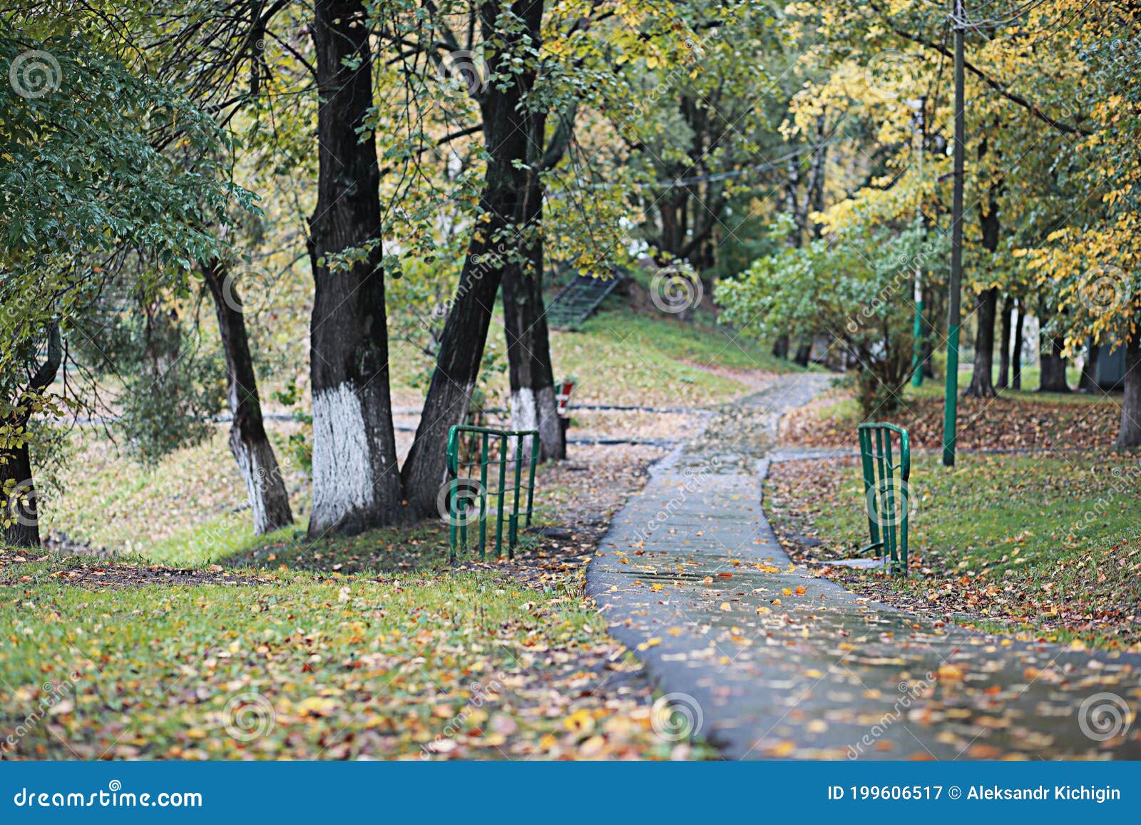 Autumn rain in the park stock image. Image of bench - 199606517