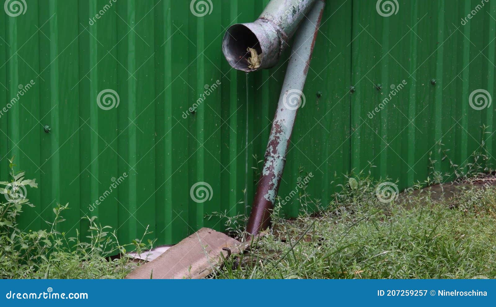 Autumn Rain Pouring from Old Rusty Gutter in Front of Green Fence Stock ...