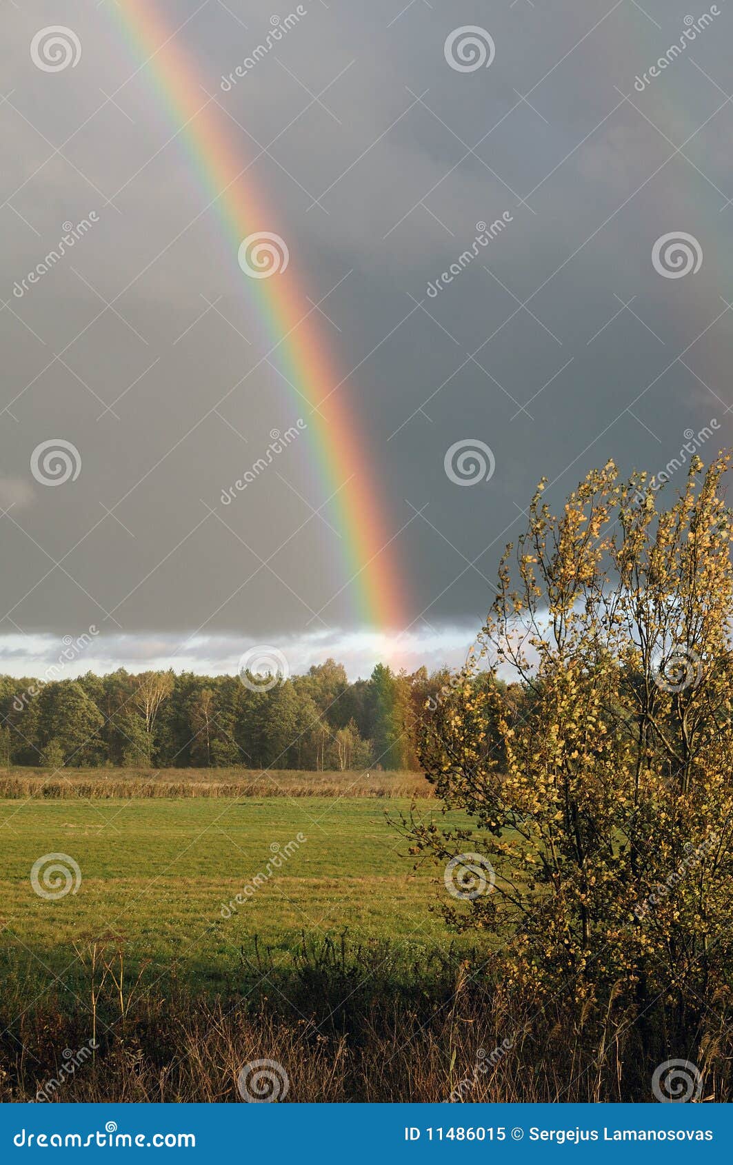 Autumn rainbow stock image. Image of rainbow, autumn - 11486015