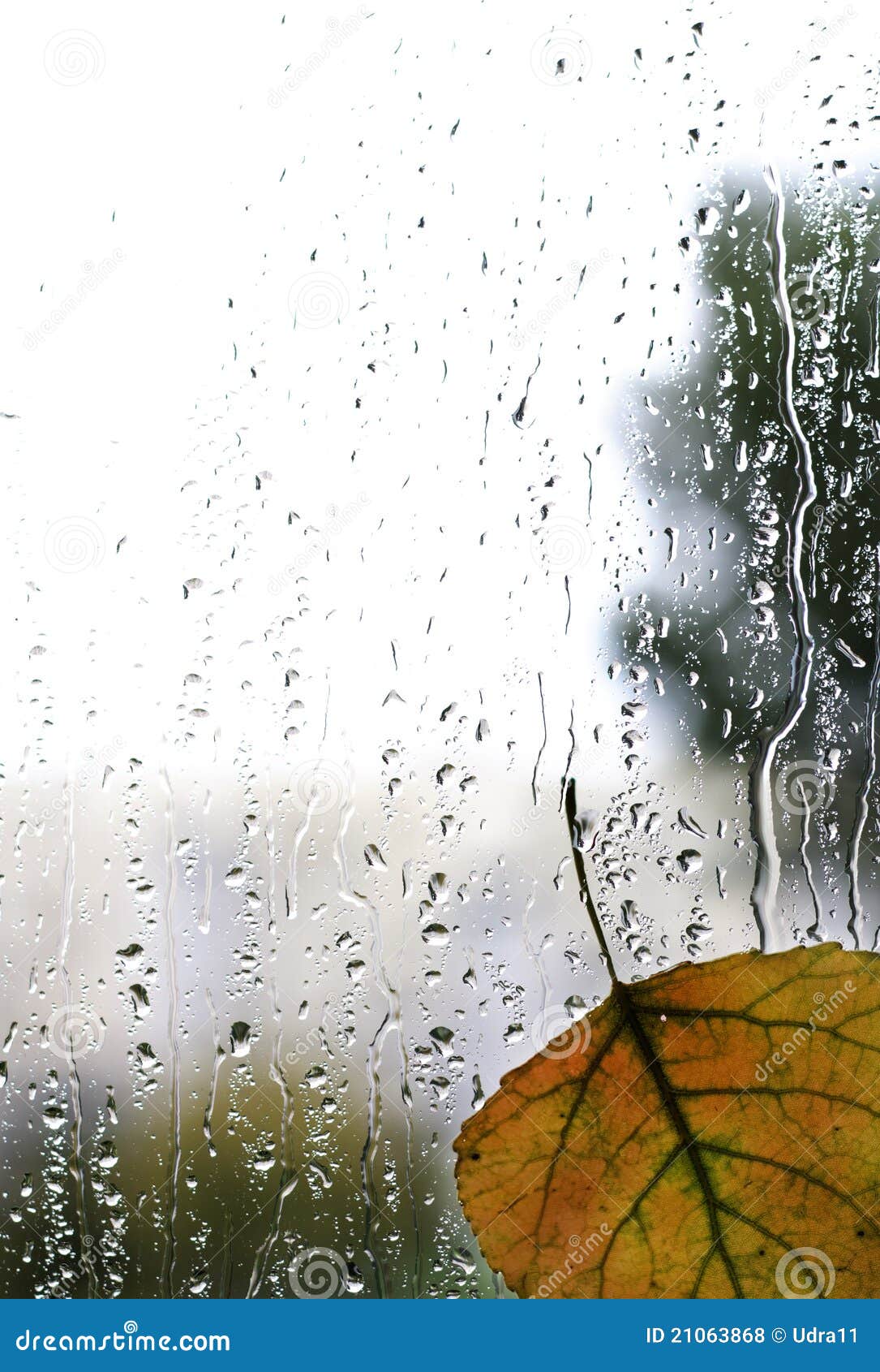 Autumn Rainy Day on Glass with Leaf Stock Photo - Image of cool, glass ...