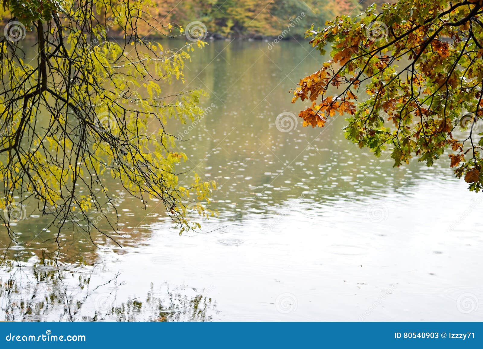 Autumn rainy day stock image. Image of rain, pond, nature - 80540903