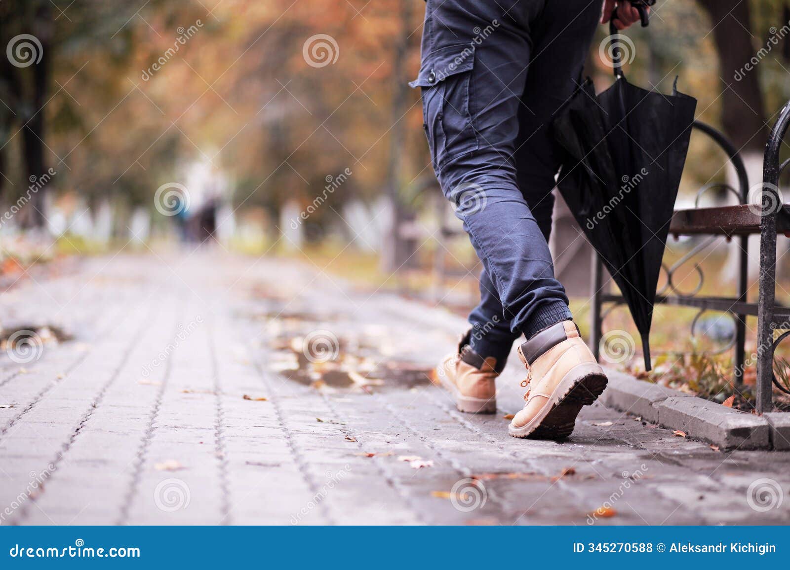 Autumn Rainy Walkway, Walking Area,cyclepath Royalty-Free Stock ...