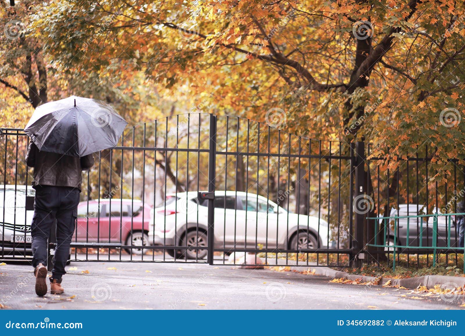 Rainy Day In The Park With Trees Reflected In The Puddle. Stock ...