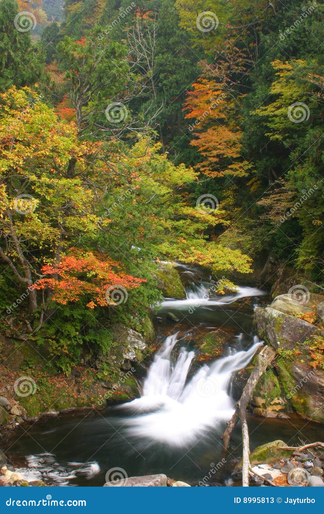 Autumn ravine stock image. Image of daytime, fall, valley - 8995813