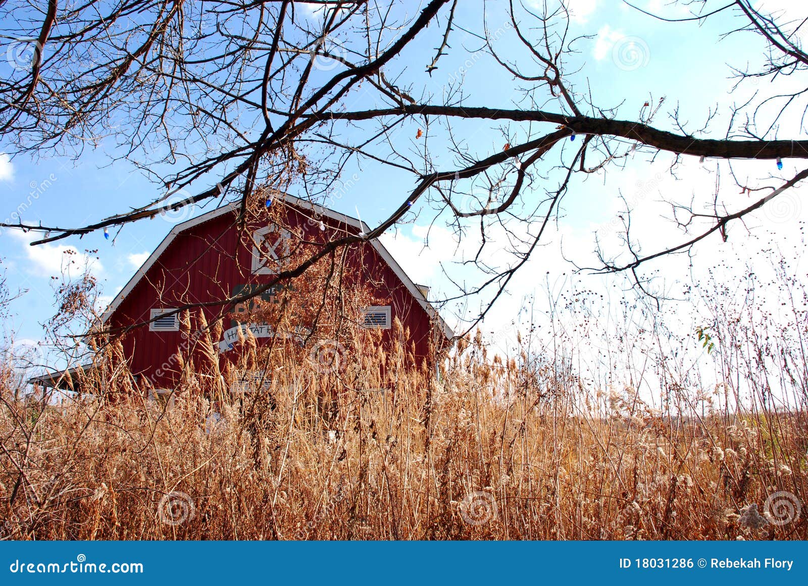 Autumn Red Barn and Wheat Field Stock Photo - Image of autumn ...
