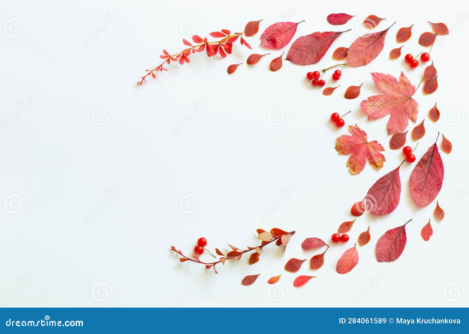 Autumn Red Leaves on White Background Stock Image - Image of leaf ...