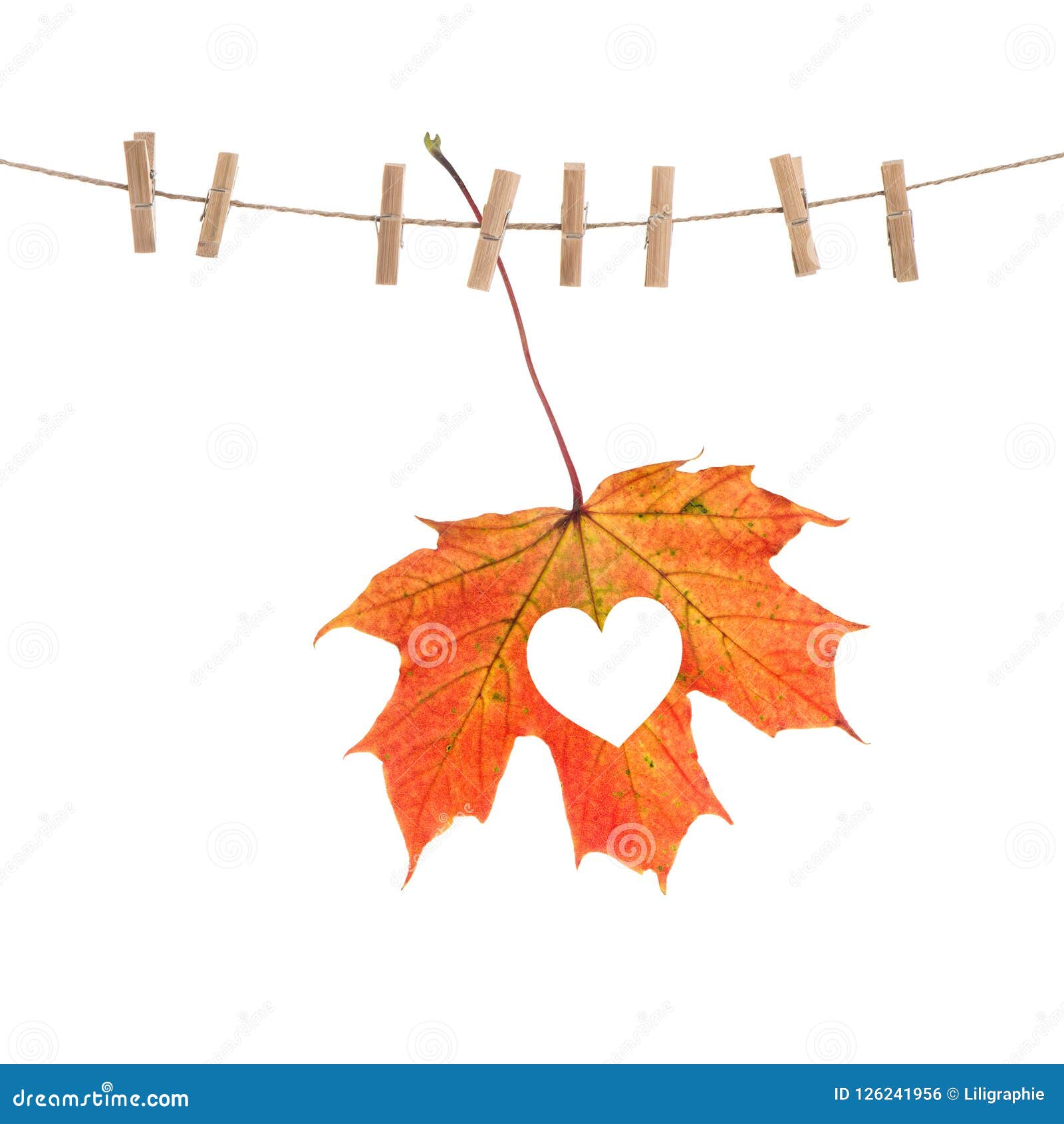 Autumn Red Maple Leaf Heart Love Concept Stock Photo - Image of ...