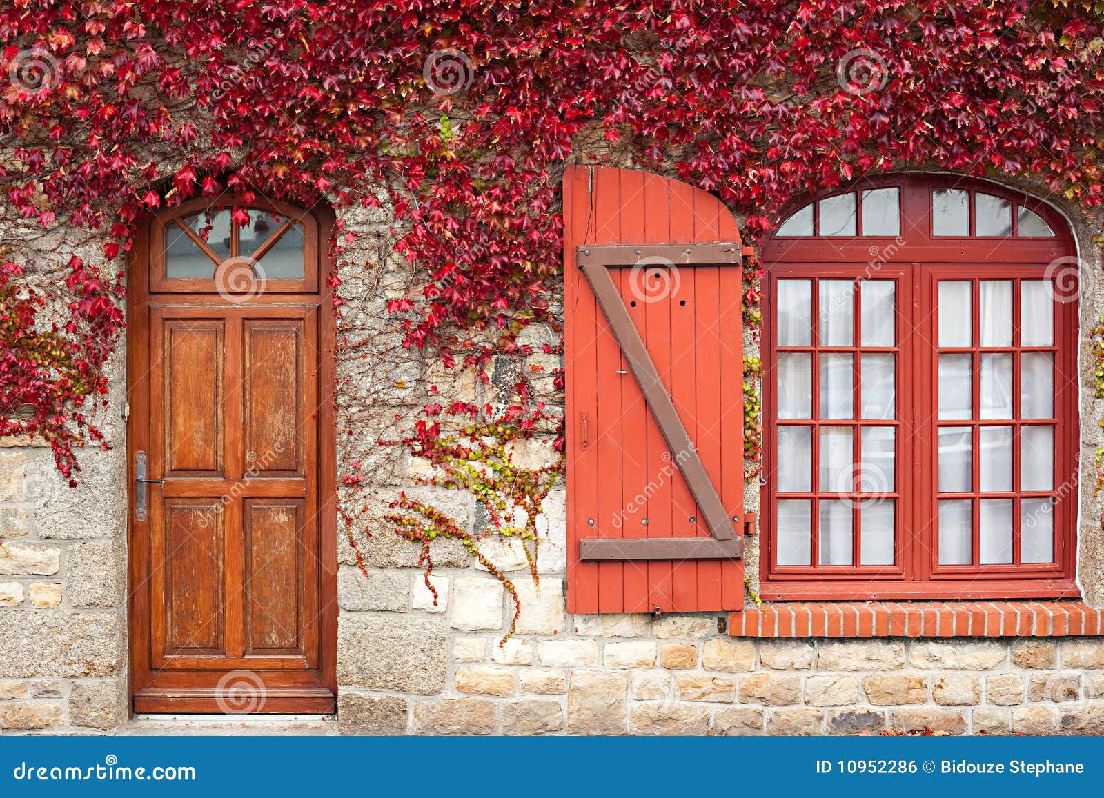 Autumn red vine on house stock photo. Image of foliage - 10952286