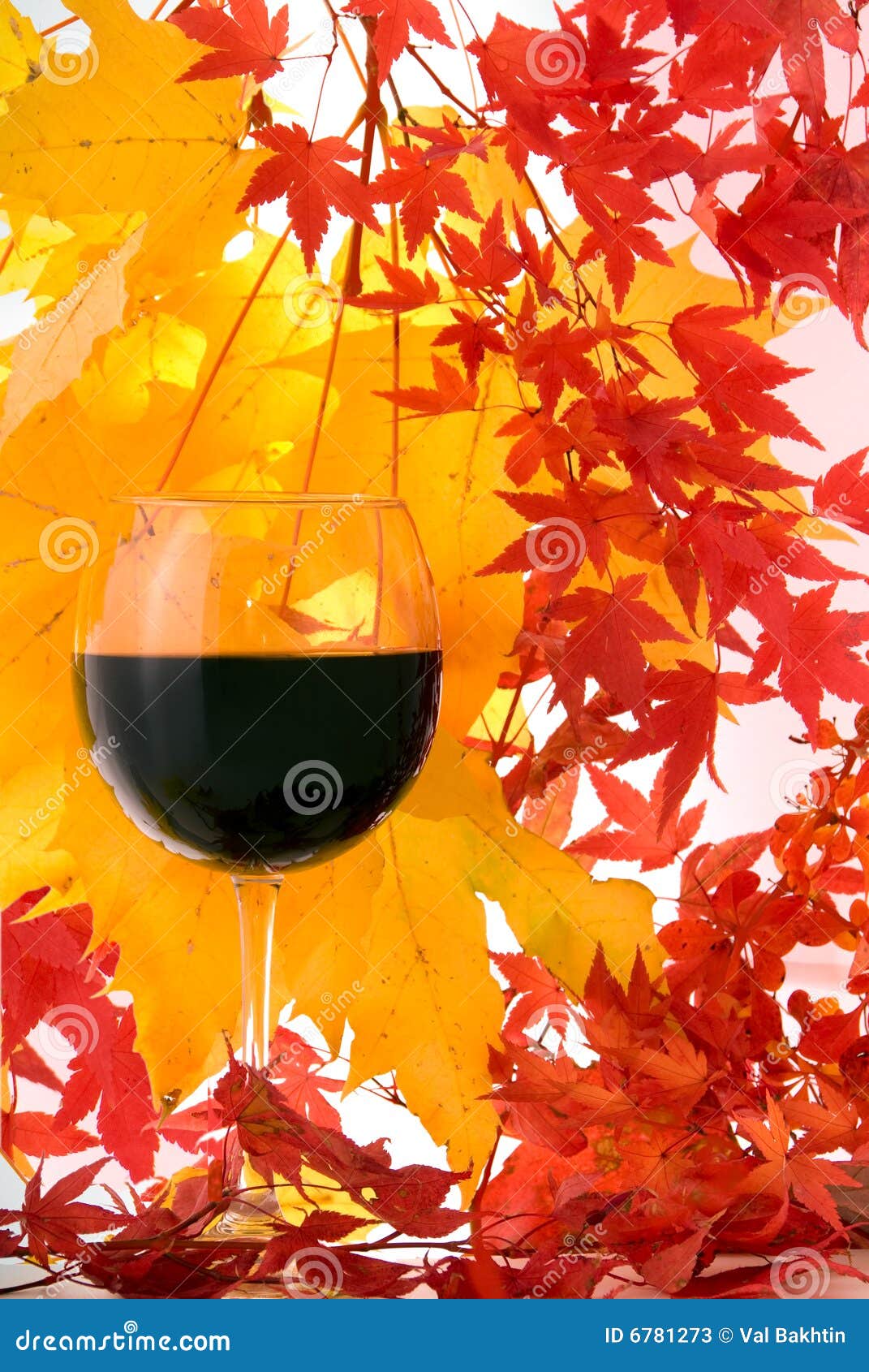 Autumn. Red Wine stock image. Image of november, summer - 6781273