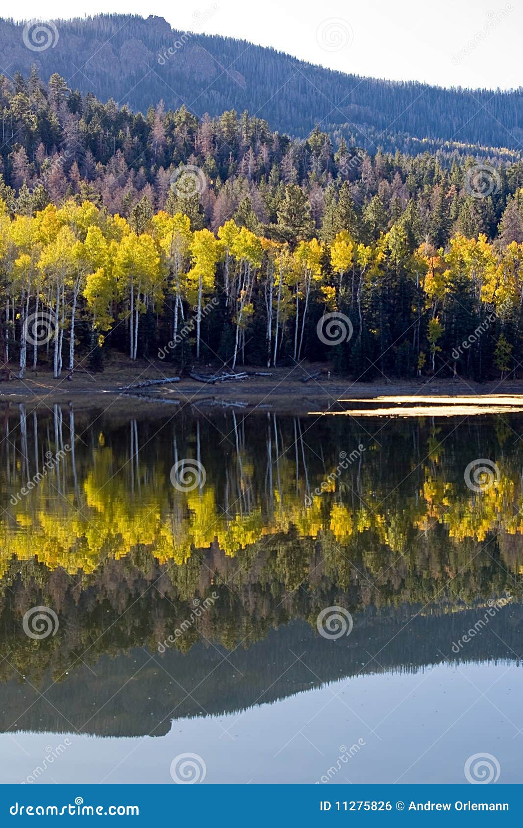 Autumn Reflection stock photo. Image of natural, view - 11275826