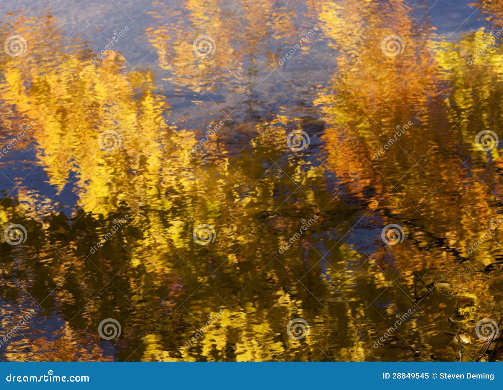 Autumn Reflection stock image. Image of trees, leaves - 28849545