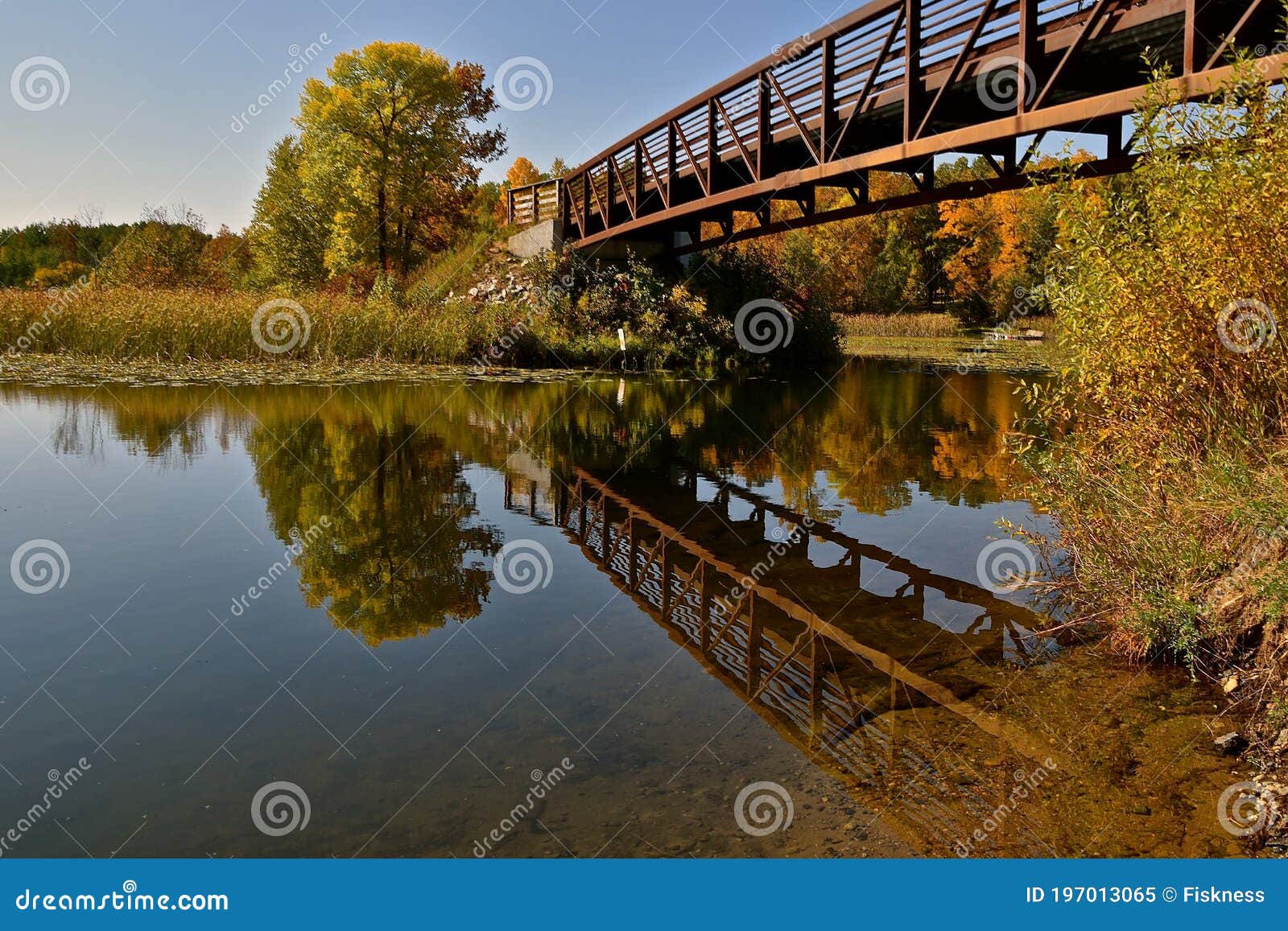 Bridge Reflection on the Water Below Stock Image - Image of foliage ...