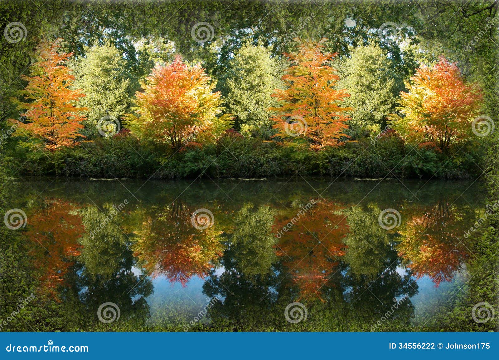 Autumn Reflection stock photo. Image of color, colorful - 34556222