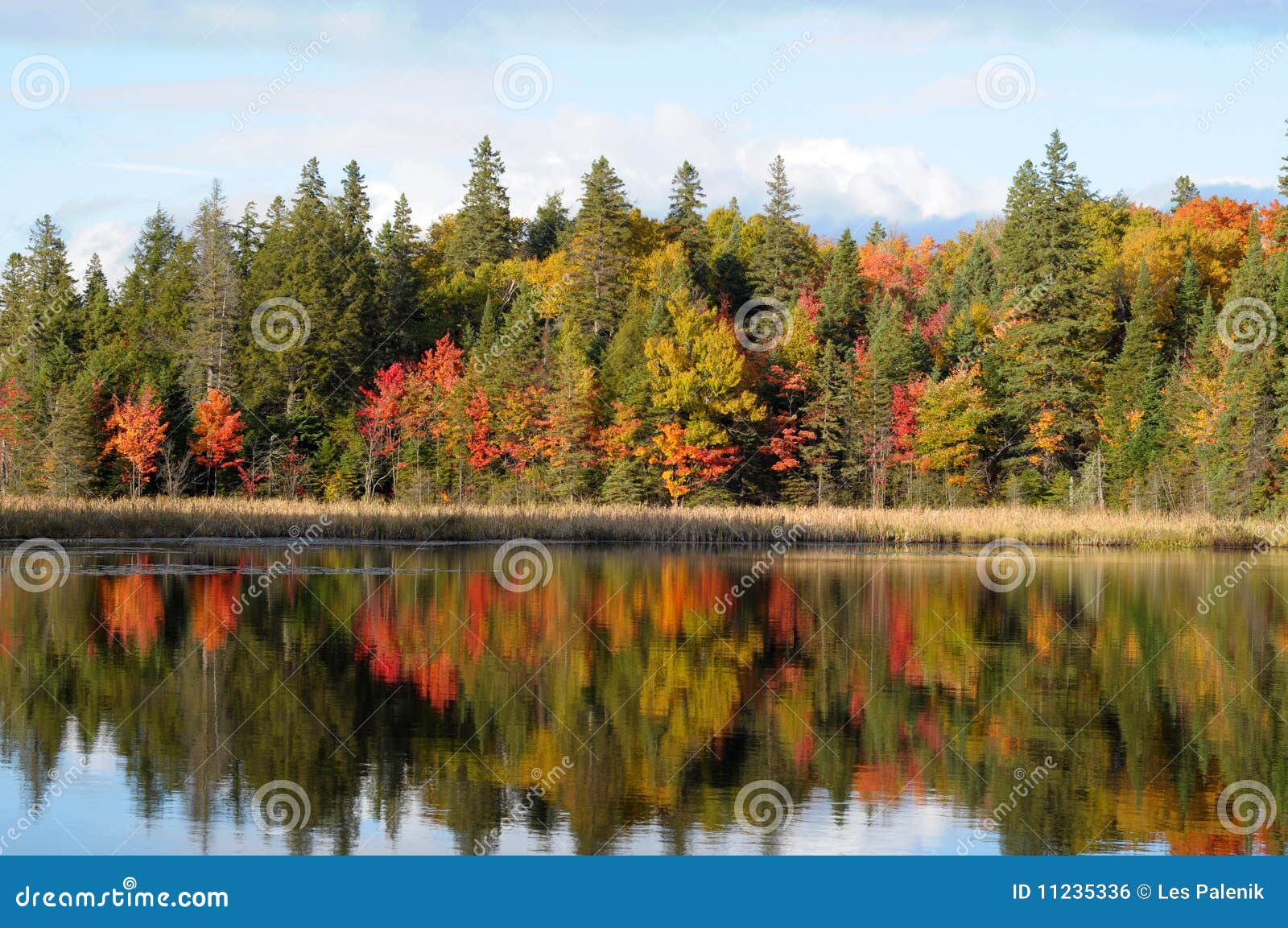 Autumn Reflections stock photo. Image of trees, travel - 11235336