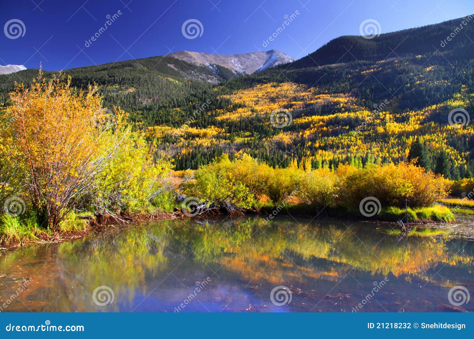 Autumn reflections stock photo. Image of outdoors, fall - 21218232