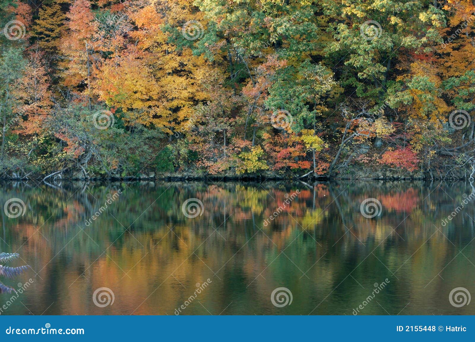 Autumn reflections... stock photo. Image of colourful - 2155448