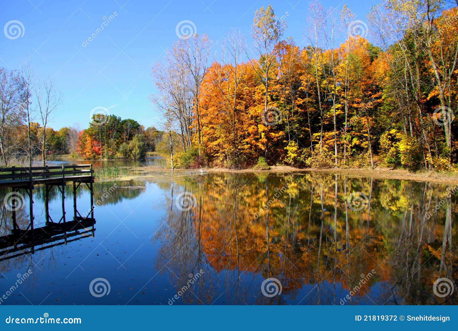 Autumn reflections stock photo. Image of forest, blue - 21819372