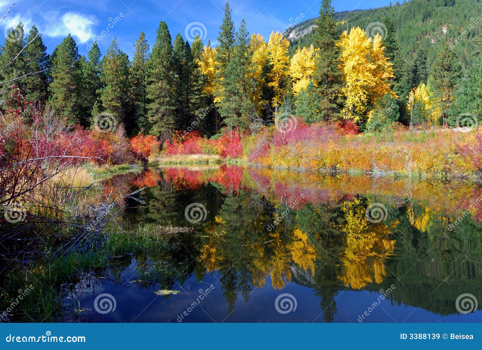 Autumn Reflections stock image. Image of foliage, view - 3388139