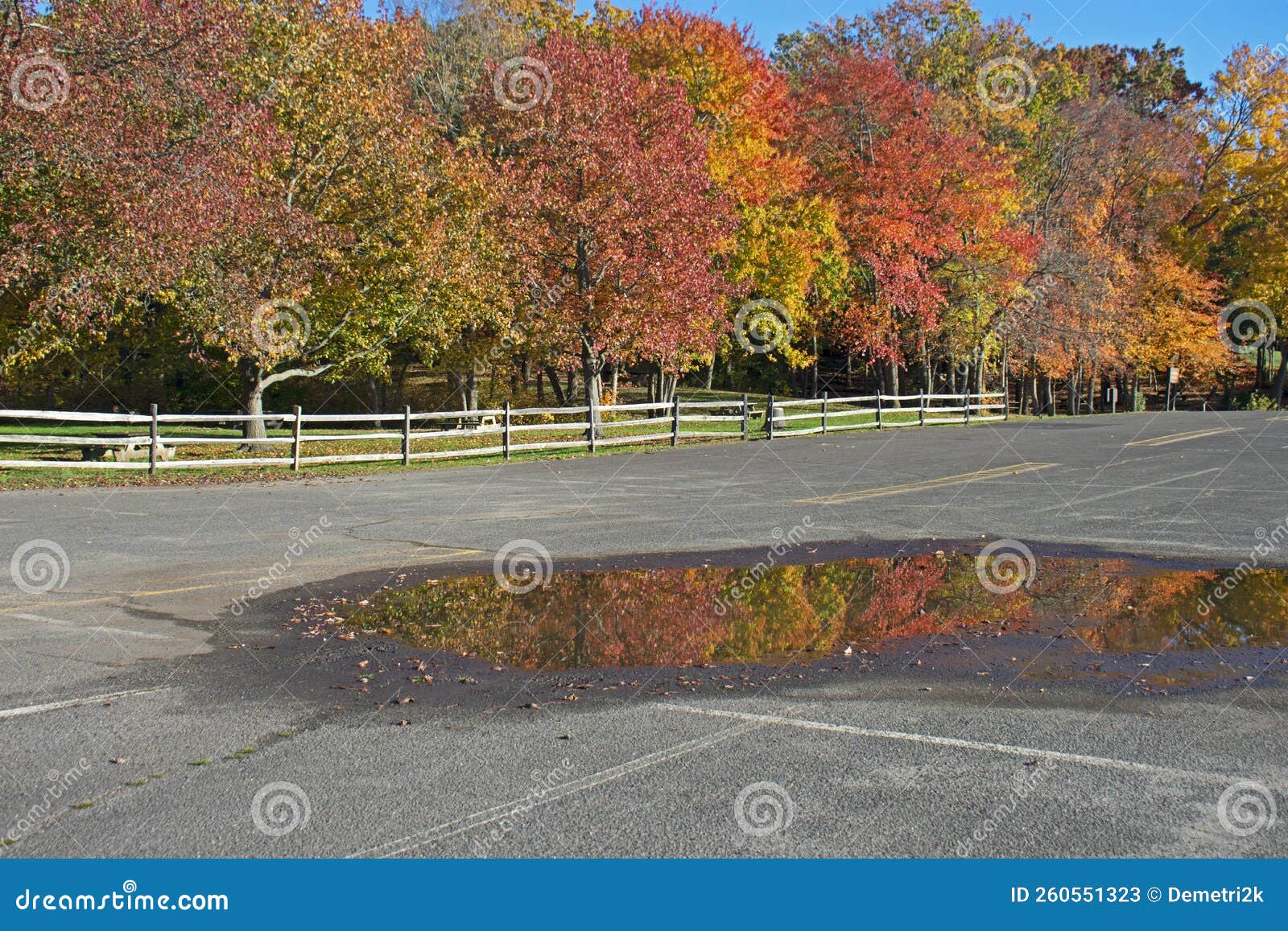 Autumn Reflections in a Parking Lot Water Puddle -01 Stock Image ...