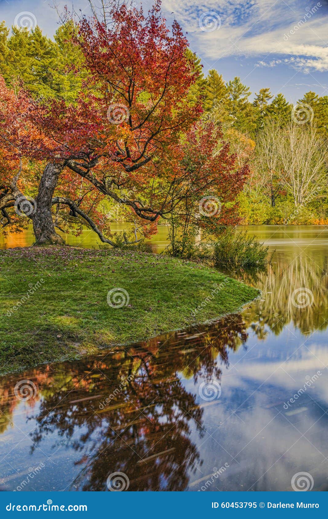 Autumn Reflections on River Stock Image - Image of ontario, calm: 60453795