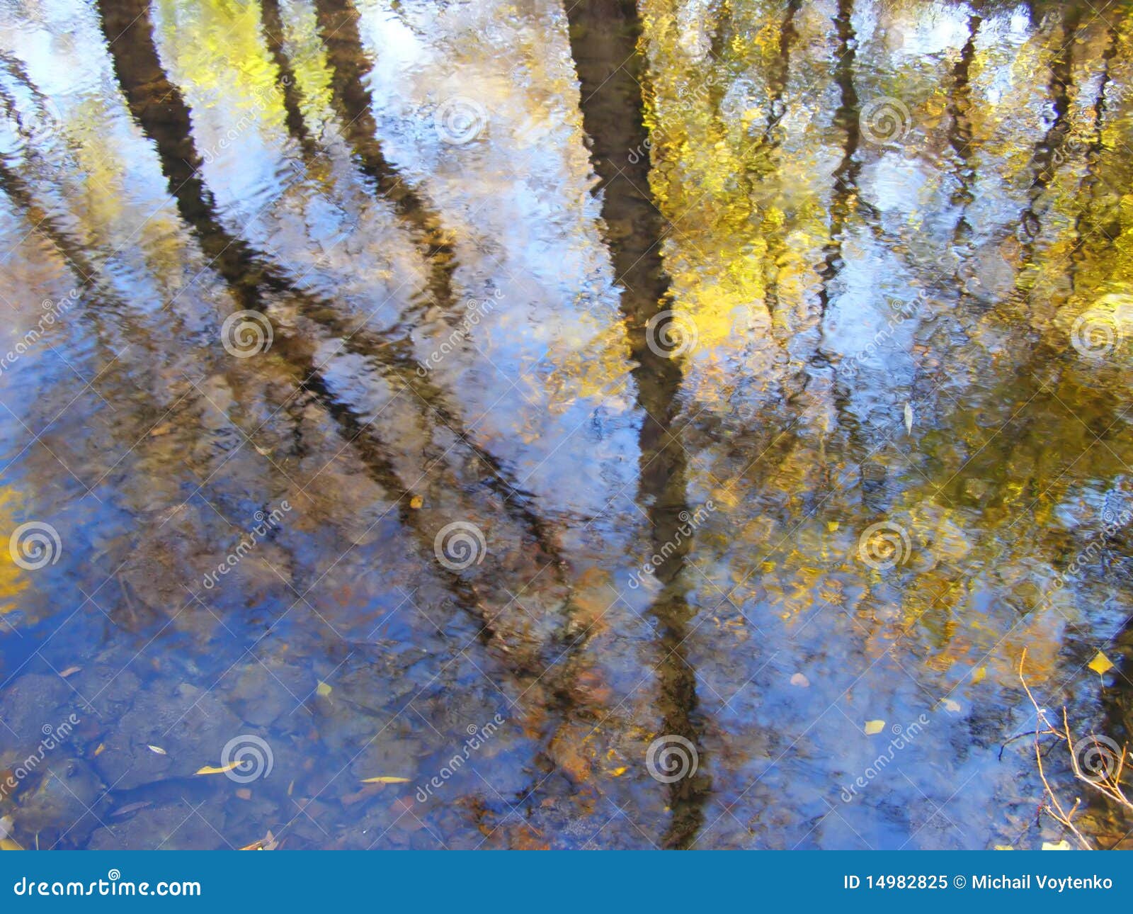 Autumn Reflections in the Water Stock Image - Image of reflection, cold ...