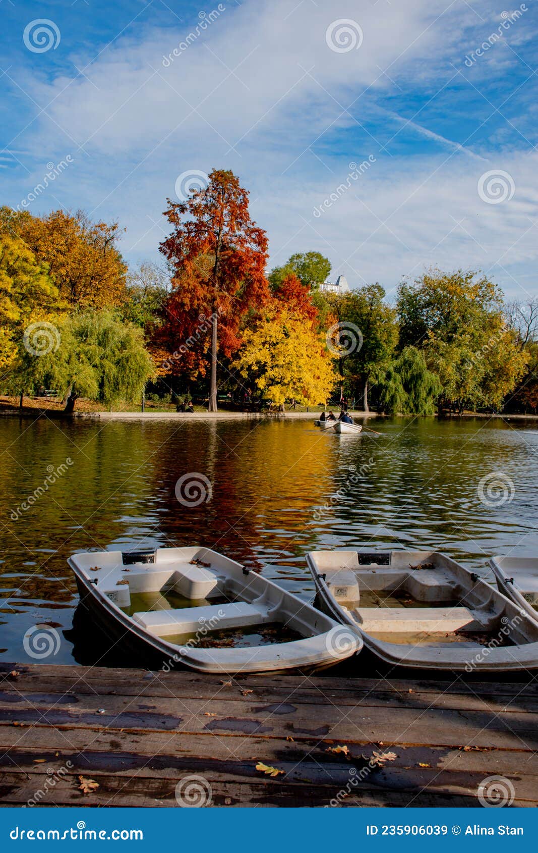Autumn reflexion scene stock image. Image of leaf, lake - 235906039