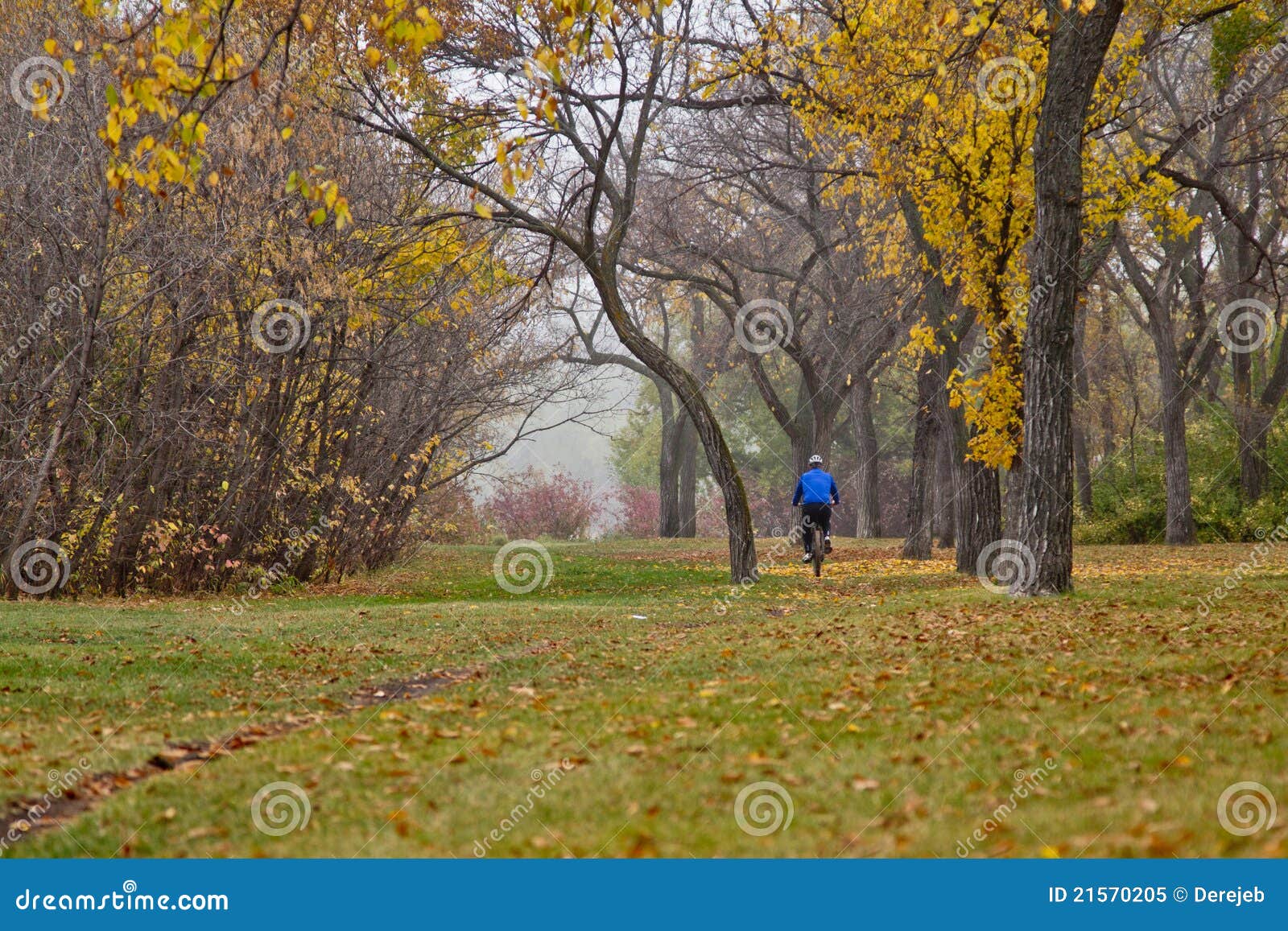 Autumn in Regina stock image. Image of saskatchewan, trees - 21570205