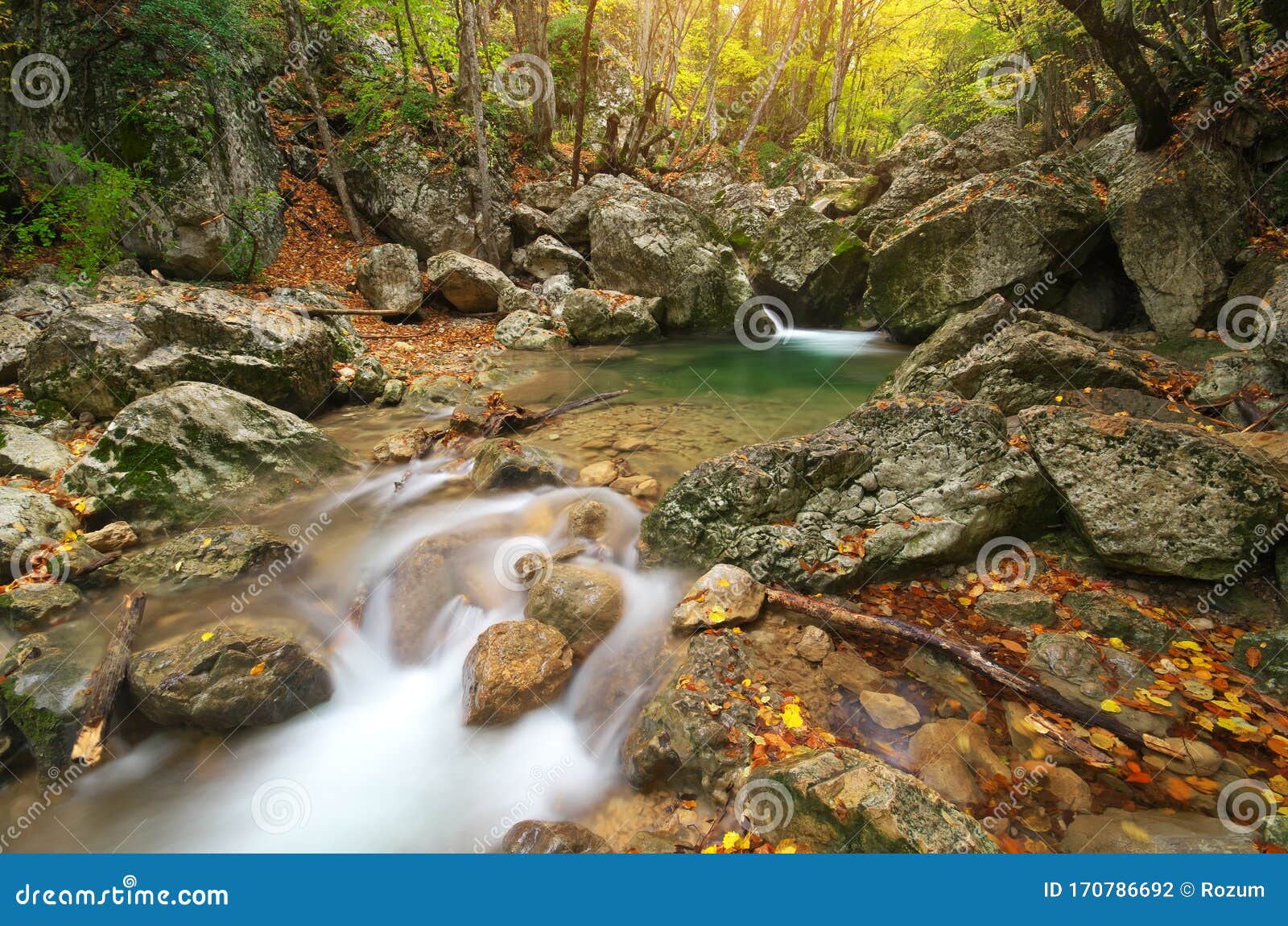 Autumn rill flow stock photo. Image of nature, river - 170786692