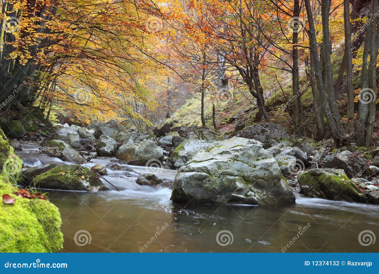 Autumn river stock photo. Image of cool, rocks, scenic - 12374132