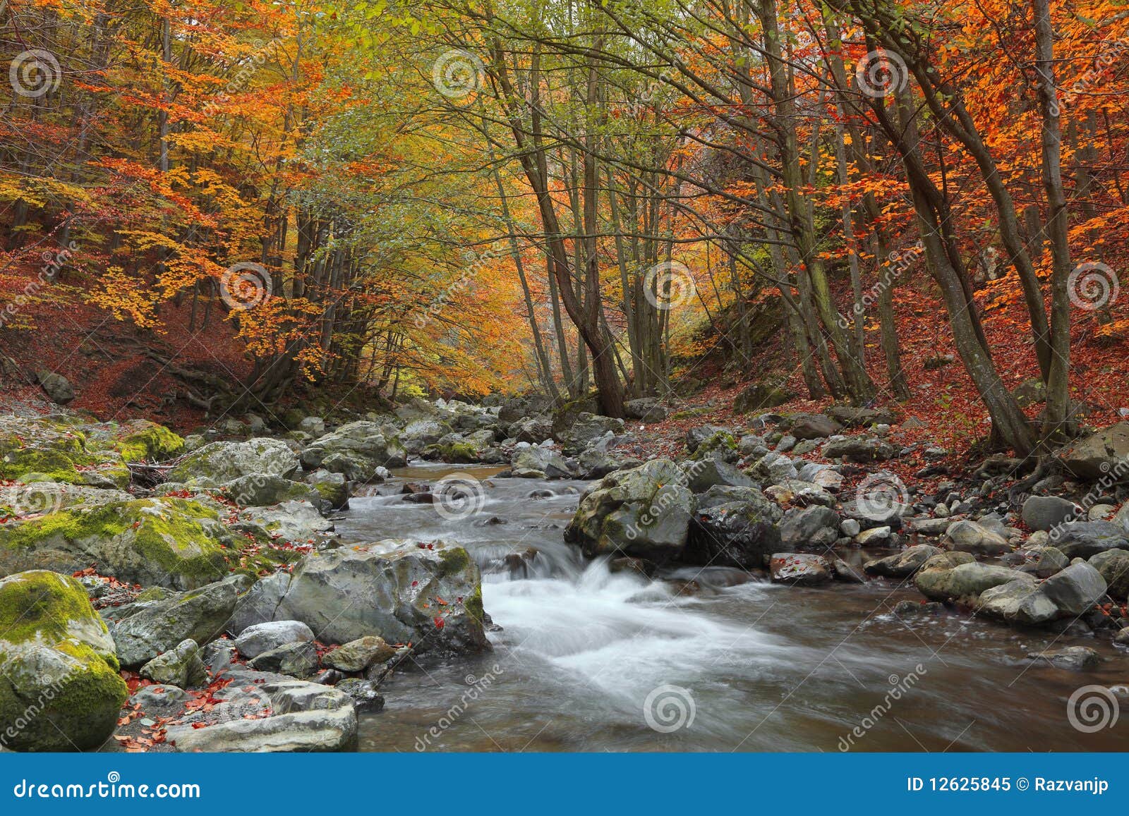 Autumn river stock image. Image of park, hike, scenery - 12625845