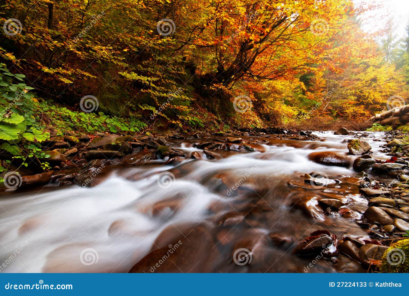 Autumn River stock image. Image of forests, rocks, woods - 27224133