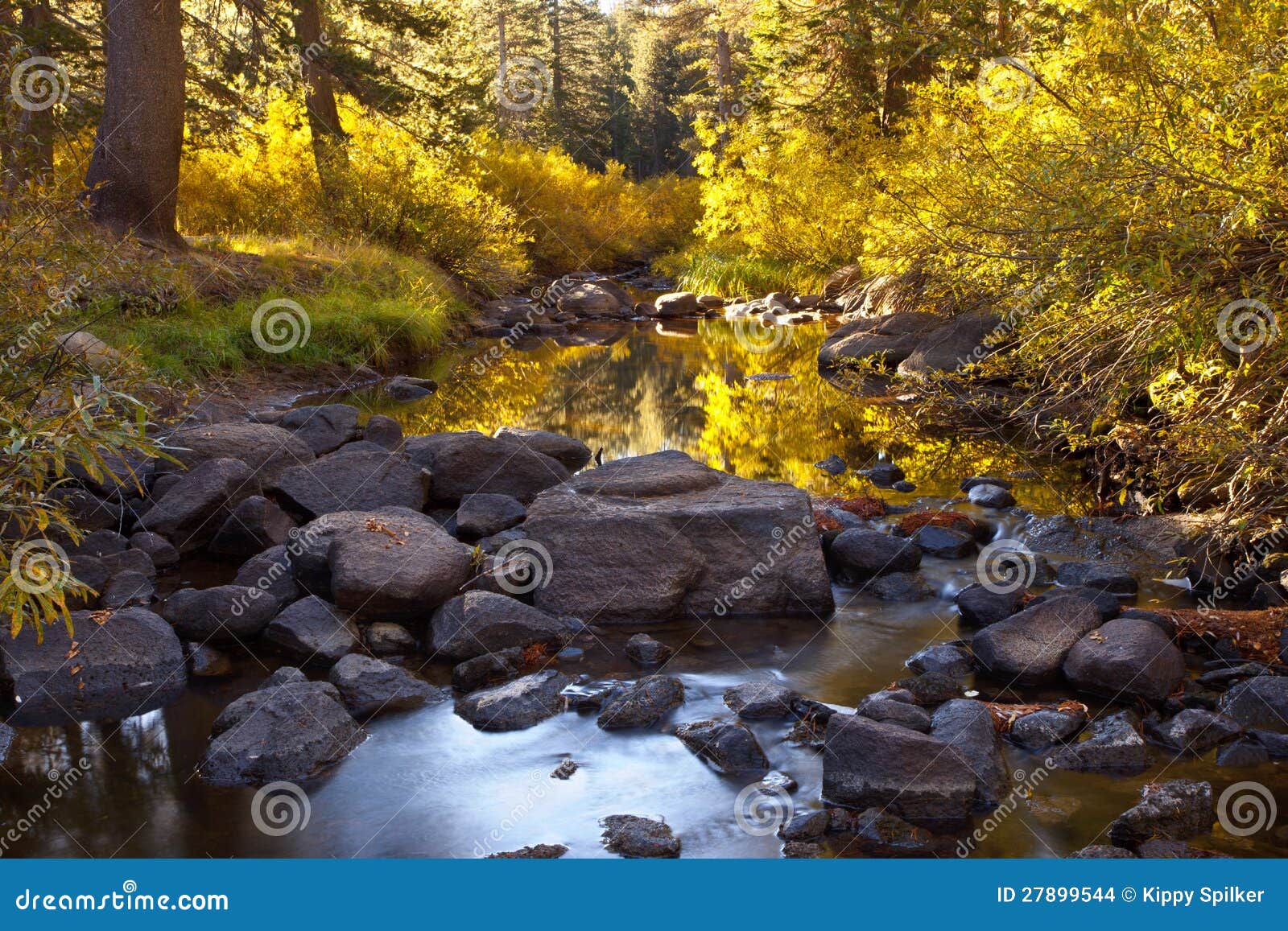Autumn River stock photo. Image of grass, peaceful, leaves - 27899544