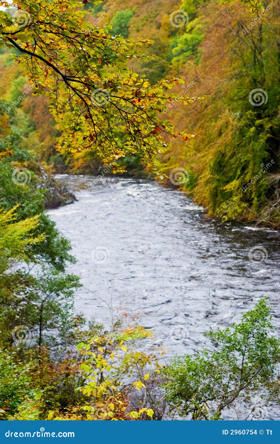 Autumn river stock photo. Image of fall, lush, flowing - 2960754