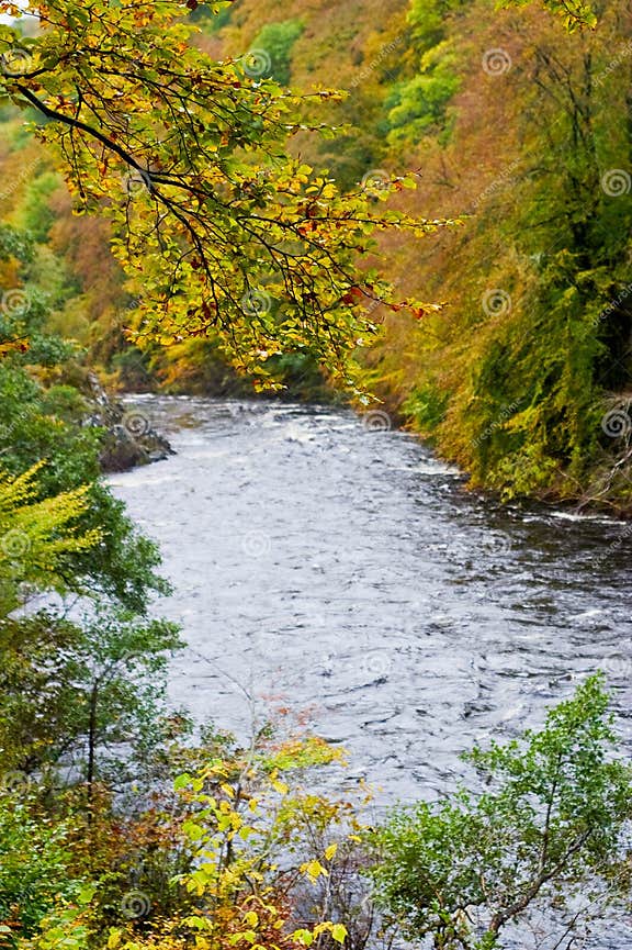 Autumn river stock photo. Image of fall, lush, flowing - 2960754