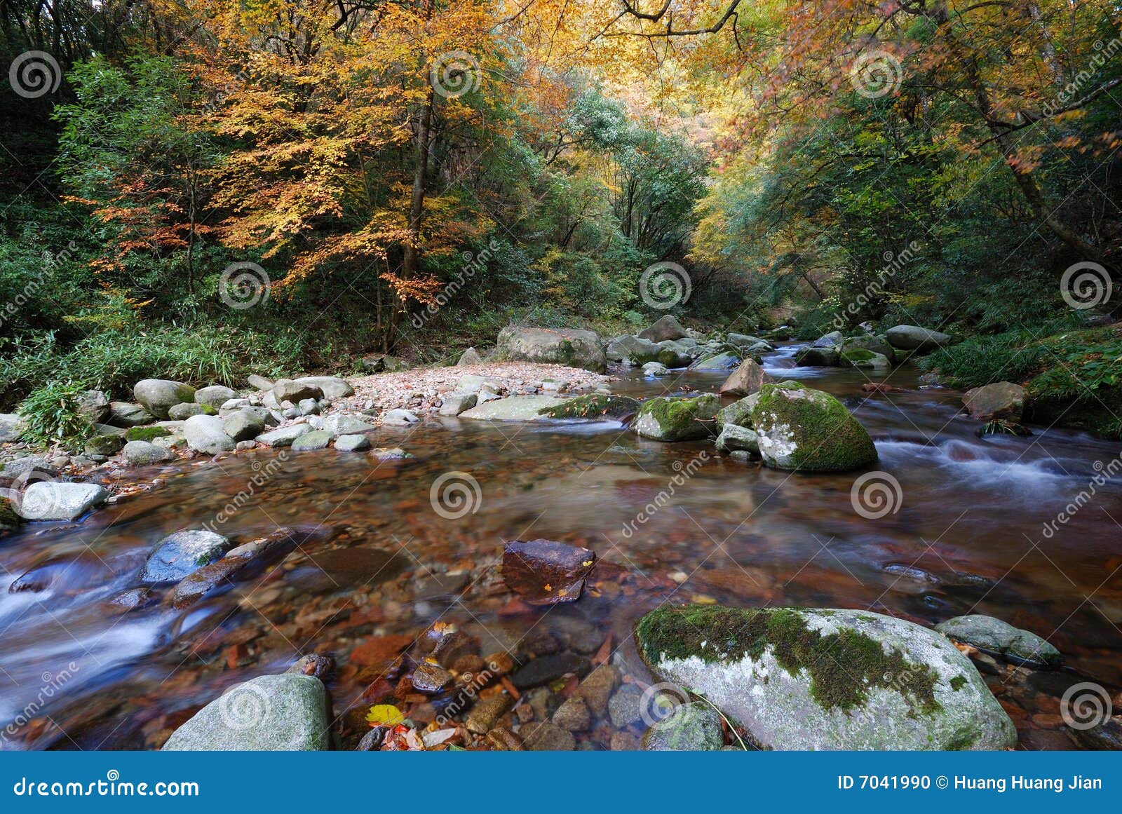 Autumn river stock photo. Image of autumn, fallen, flowing - 7041990
