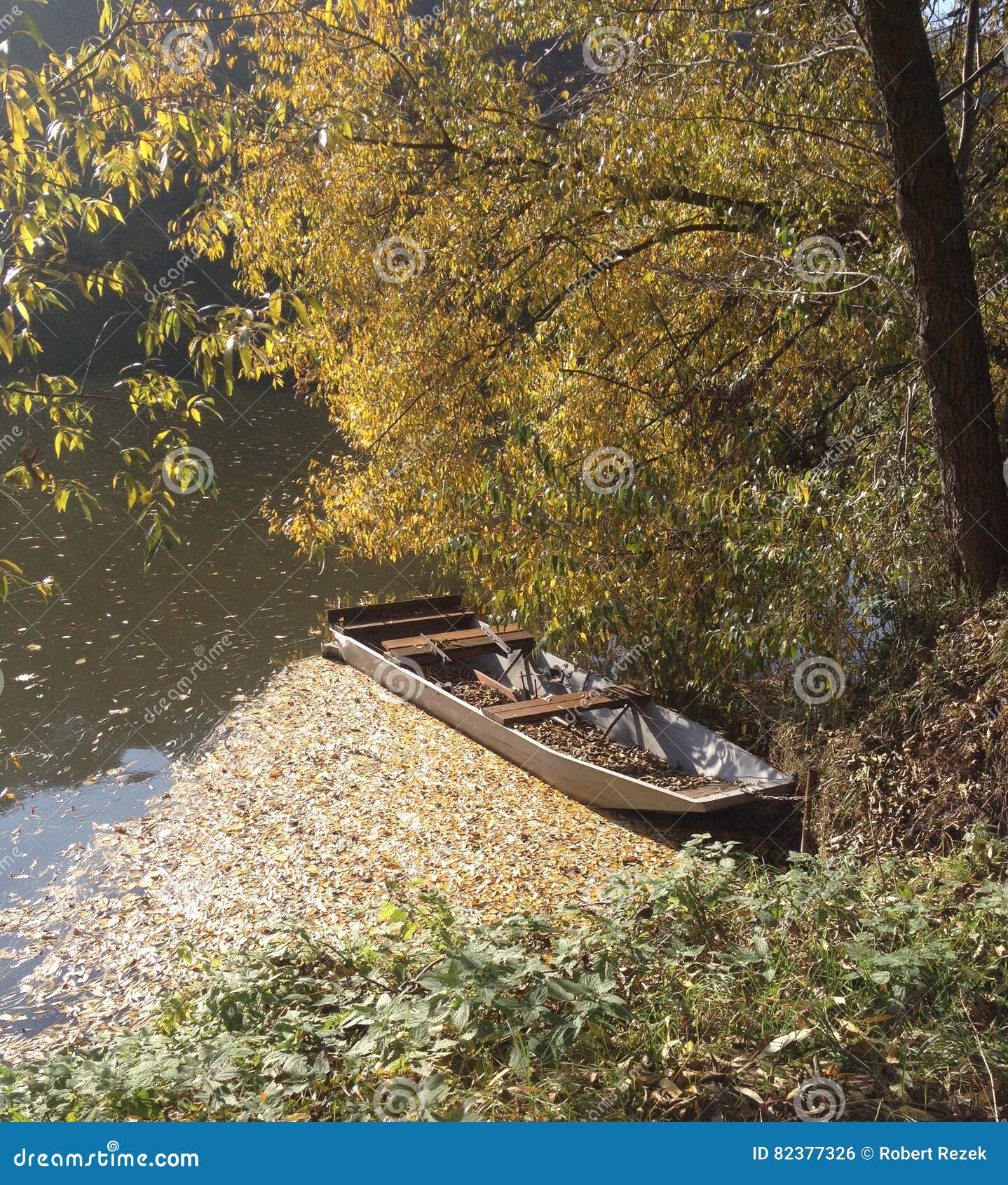 Autumn river and boat stock photo. Image of boat, water - 82377326