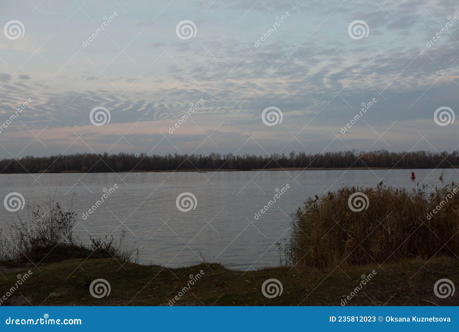 Autumn River Forest Landscape with Cloudy Sky. Late Fall Stock Image ...