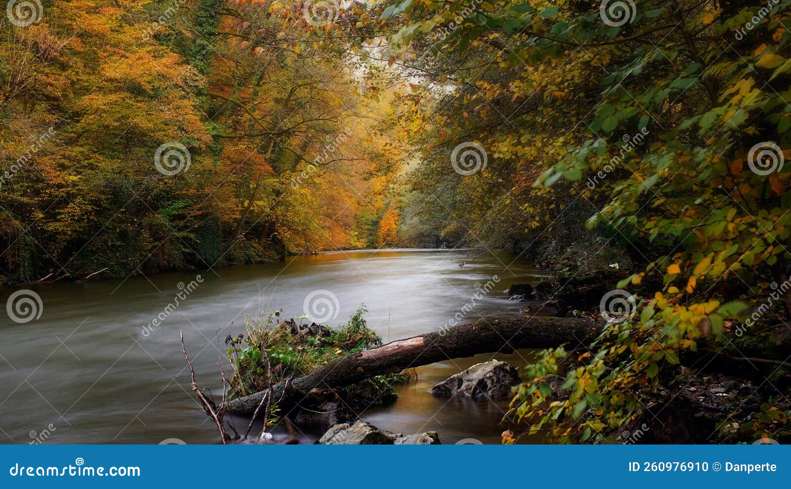 Autumn river stock photo. Image of autumn, trees, landscape - 260976910