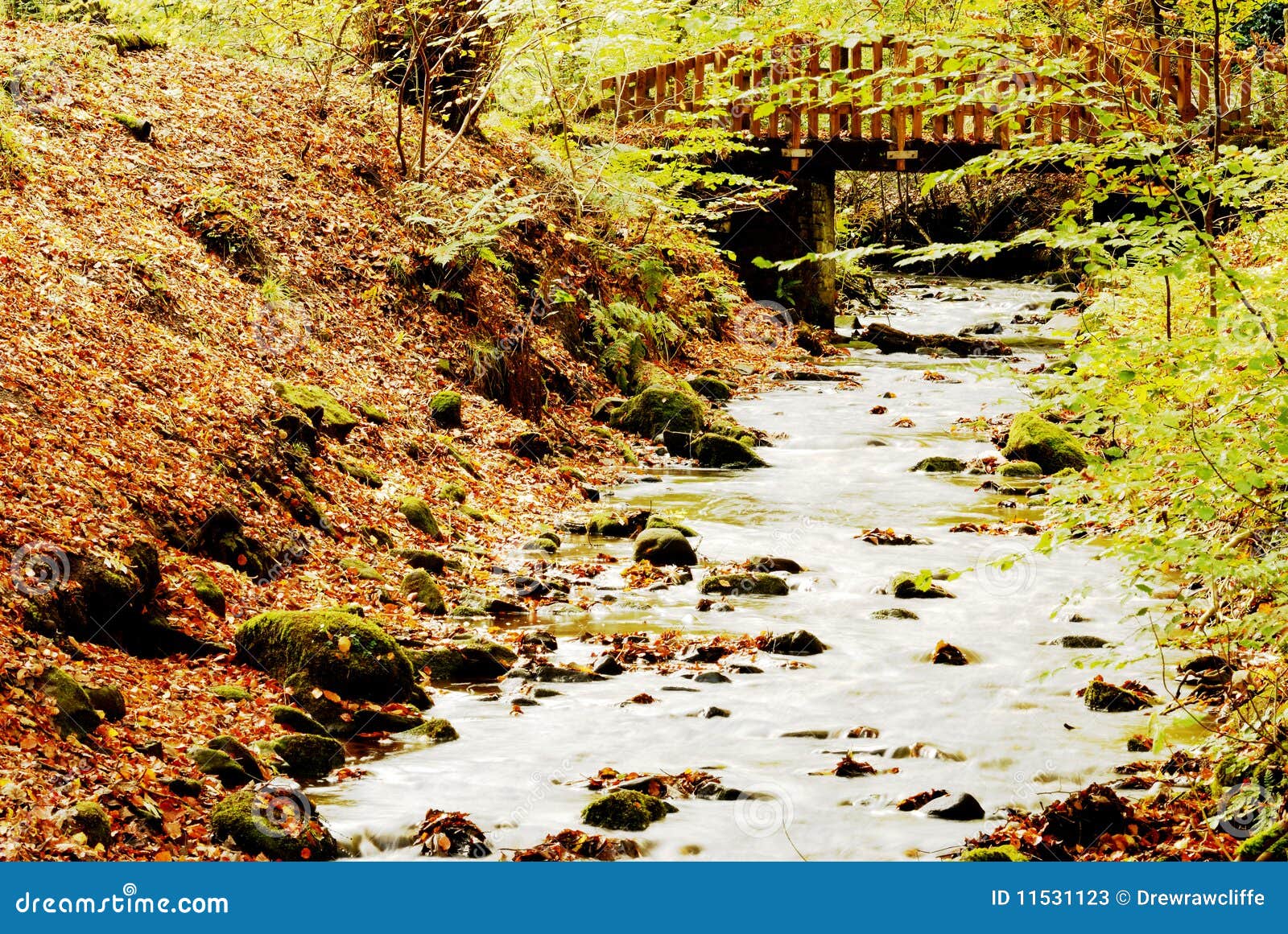 Autumn river scene stock image. Image of wooden, autumn - 11531123